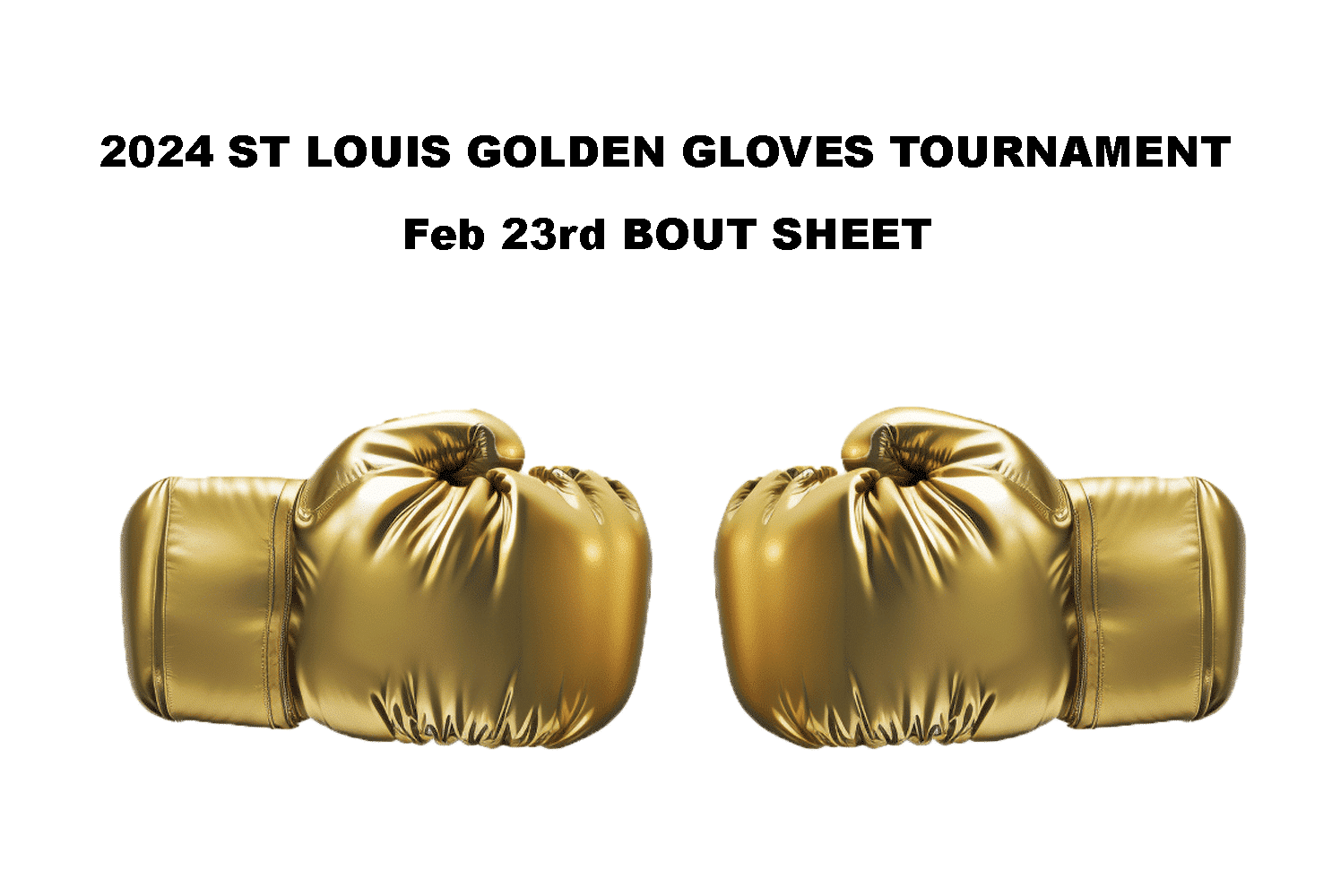 Feb 23rd - Golden Gloves STL